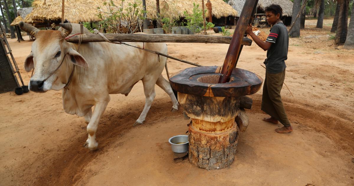USAID MAKES FURTHER COMMITMENT TO HELP THE POOR IN MYANMAR | LiftFund